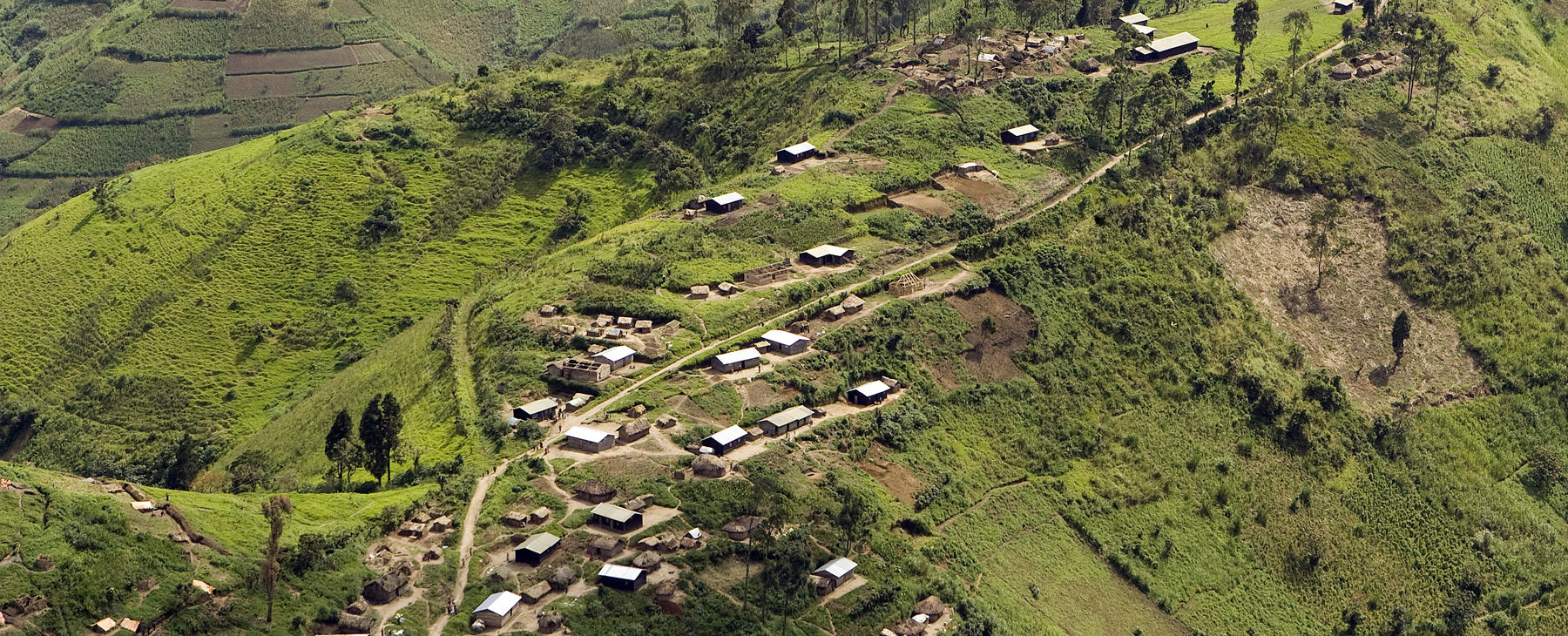 Home Page - TRIAL International